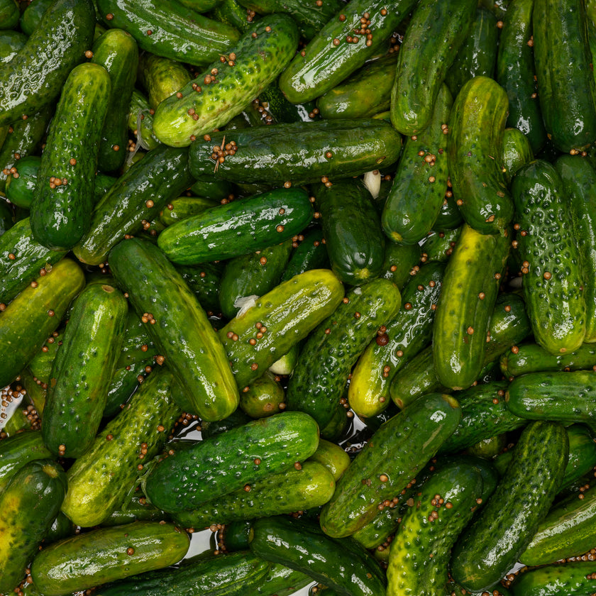 Pickles – The Pickle Guys