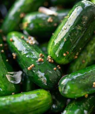 New Pickles – The Pickle Guys