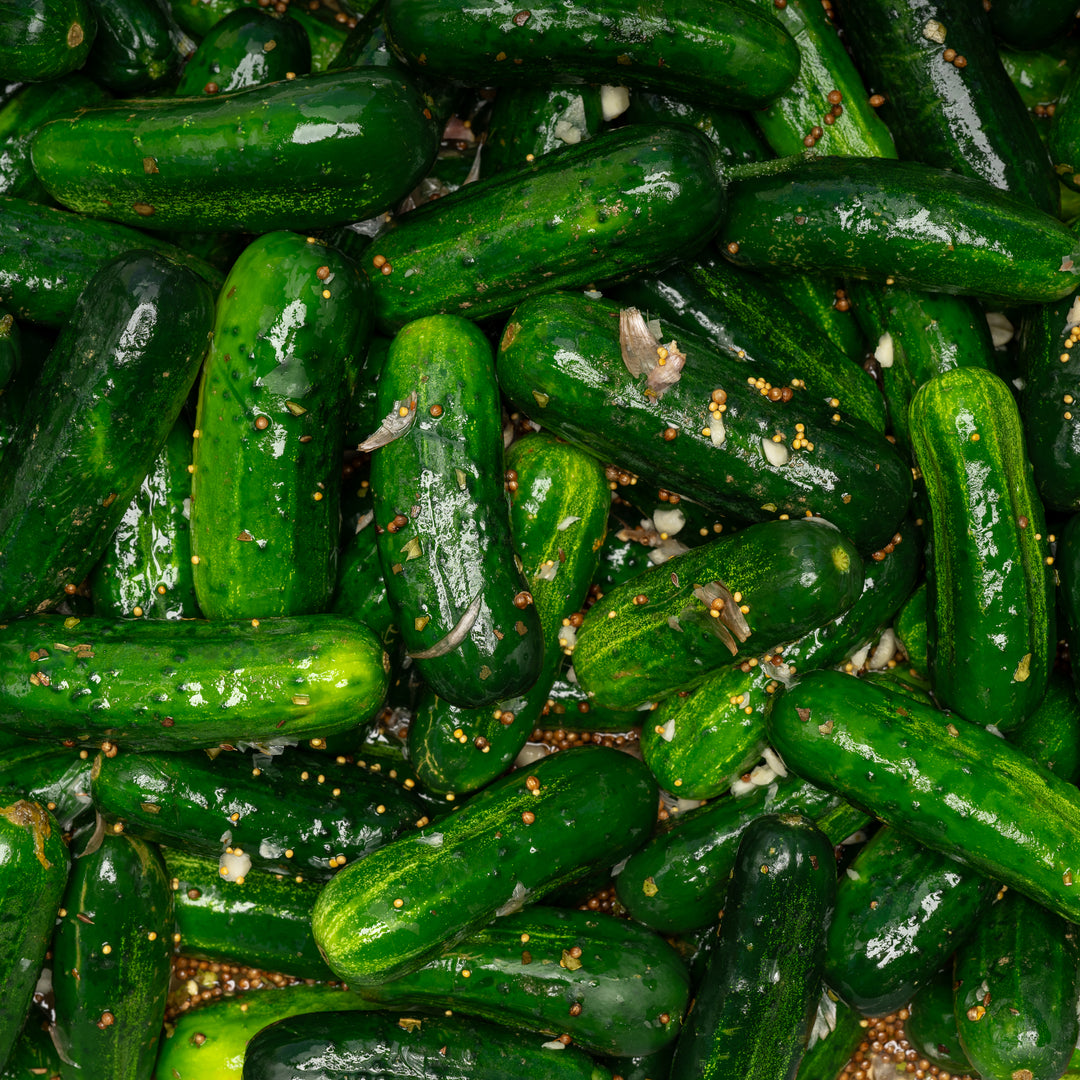 New Pickles – The Pickle Guys