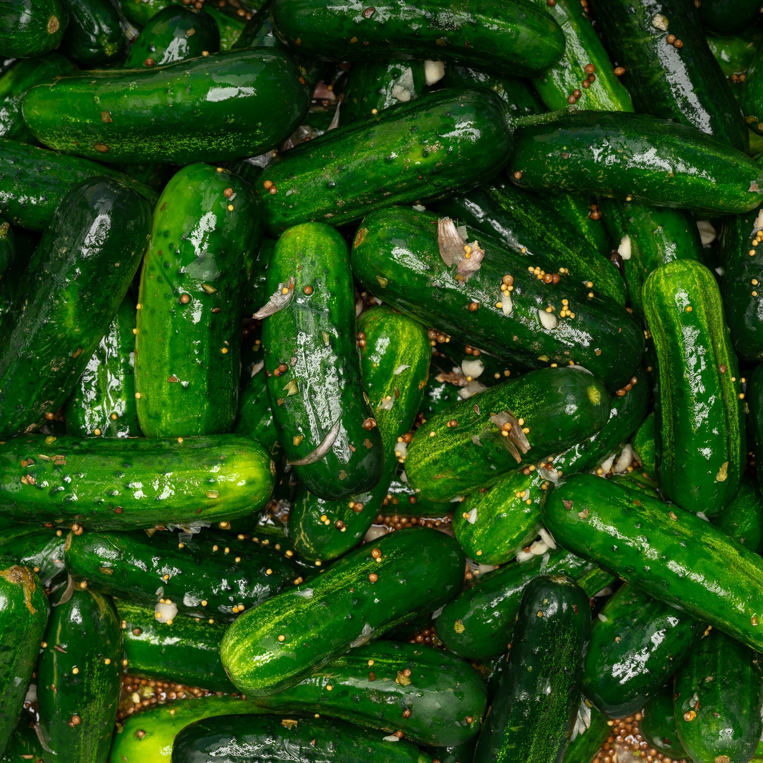 New Pickles – The Pickle Guys