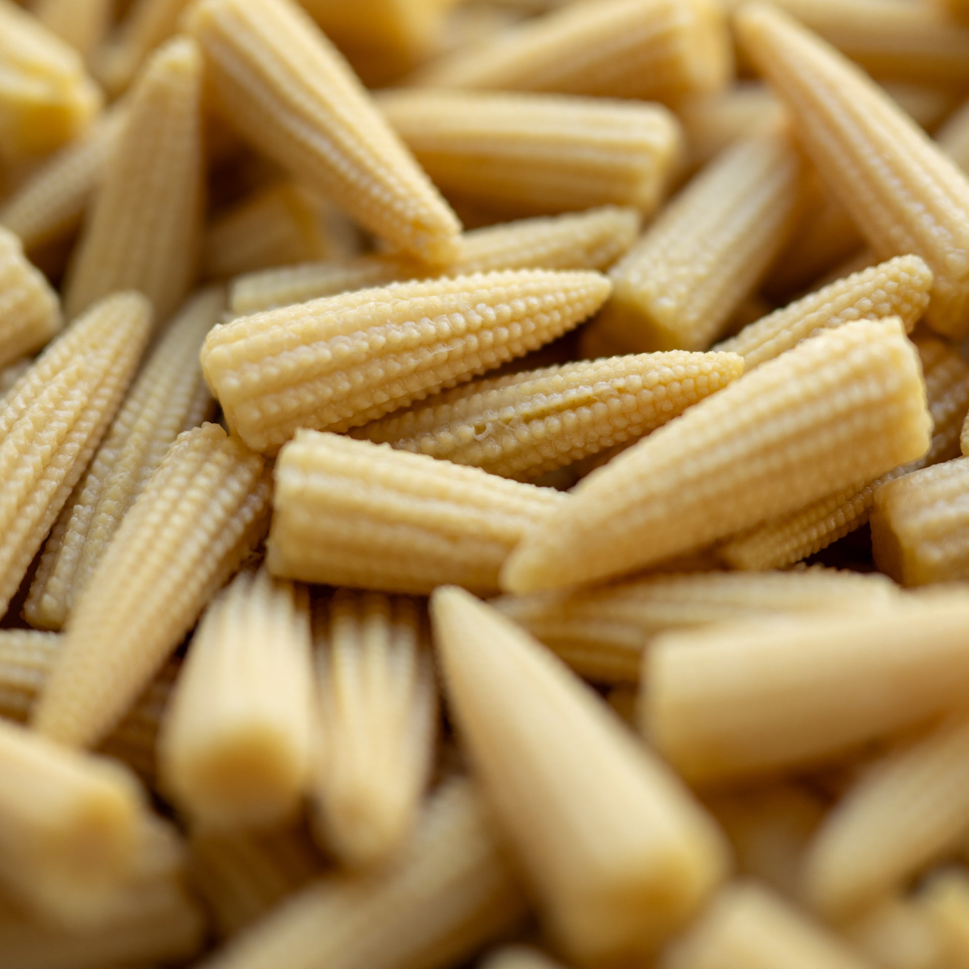 how to make baby corn vegetable in hindi