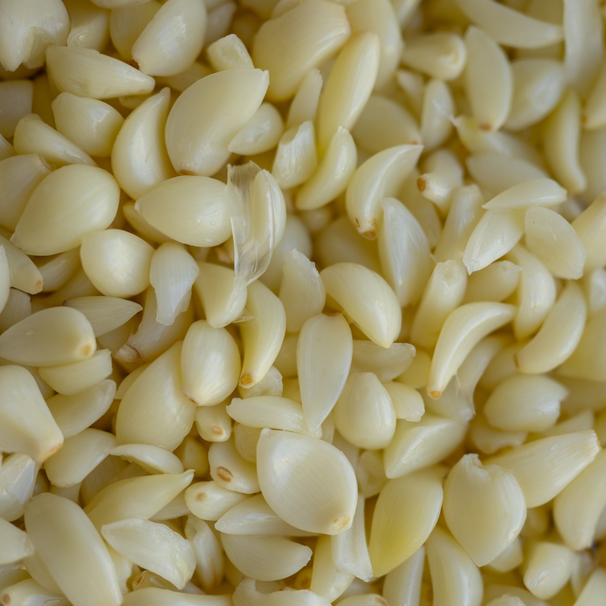 Vegetables – The Pickle Guys